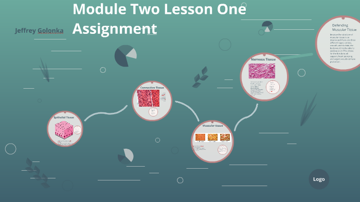 Module Two Lesson One Assignment by Jeff Golonka on Prezi