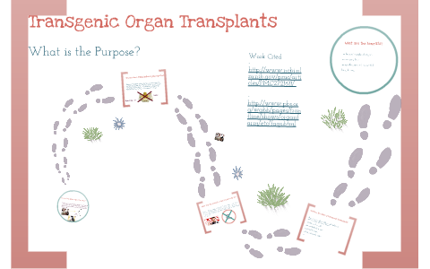 Transgenic Organ Transplants by Amber Miller on Prezi