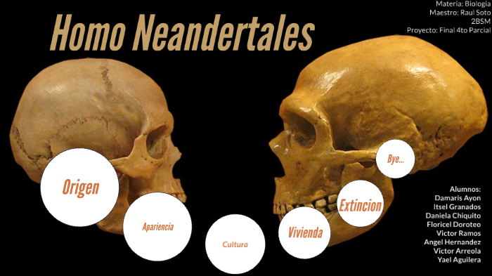 Neandertales by Damaris Colon on Prezi