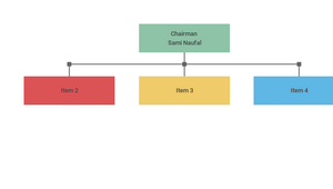 Organizational Chart by Elie Hachem on Prezi Design