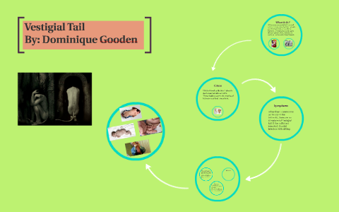 Vestigial Tail by Dominique Gooden on Prezi