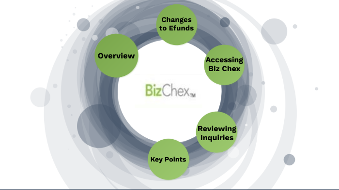 Biz Chex by Leslie Johnson on Prezi