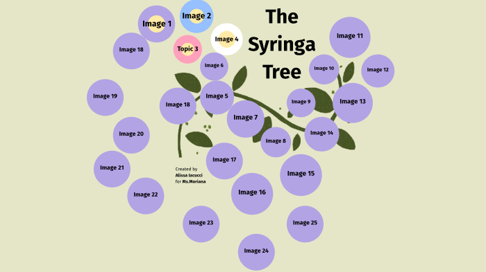 The Syringa Tree; Images by alis iac on Prezi