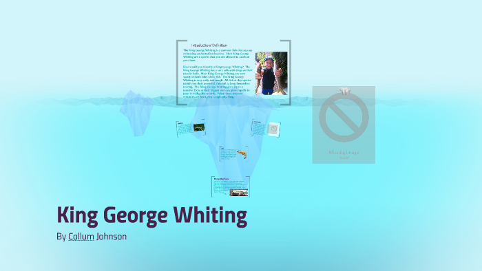 King George Whiting by Julie Ricciardone on Prezi