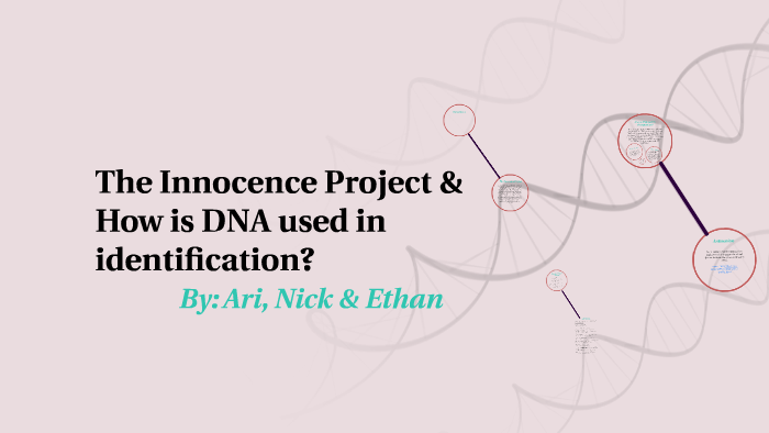 The Innocence Project & How is DNA used in identification? by Ari Randell