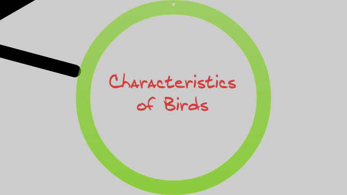 Characteristics of birds by Caitlin Risseeuw on Prezi