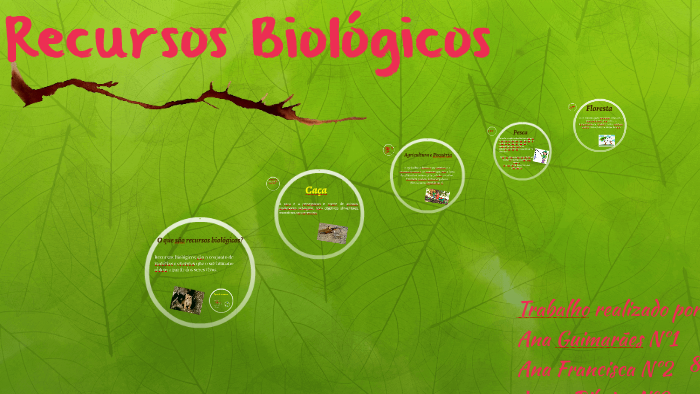Recursos Biológicos by Joana Ribeiro on Prezi
