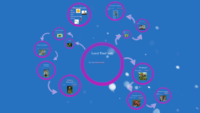 Local Food web by Tess Szatkowski on Prezi