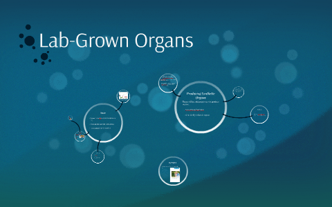 Lab-Grown Organs by Eric Nelson on Prezi