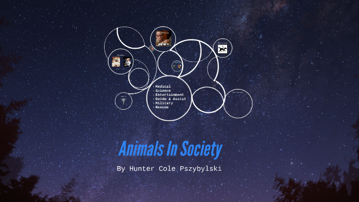 Animals In Society by Hunter Cole Pszybylski on Prezi