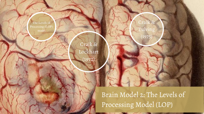 IB Psychology - CLOA Assessment: Presentation of Research by Kashmery ...