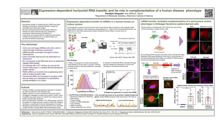 Poster for RNA 2021 by Sandipan Dasgupta on Prezi