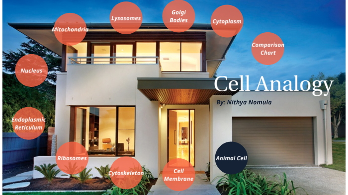 Cell Analogy - House by Nithya Nomula on Prezi