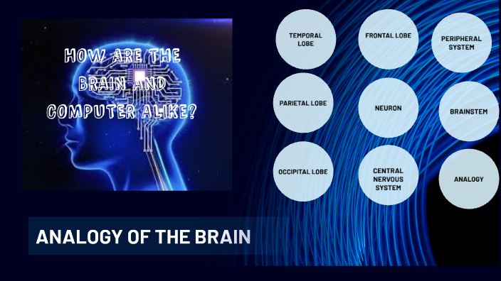 ANALOGY OF THE BRAIN by Hannah Leano on Prezi