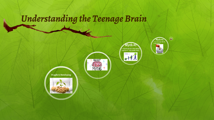 Understanding the Teenage Brain by on Prezi