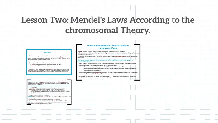 Lesson Two: Mendel's Laws According to the chromosomal Theor by Mona ...