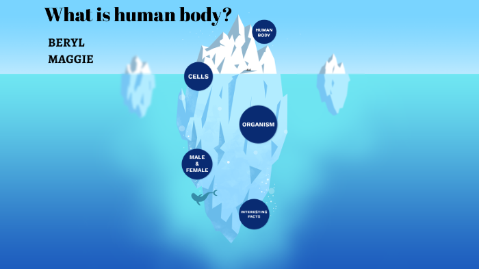 What Is Human Body By Yixuan Lu what-is-human-body-by-yixuan-lu