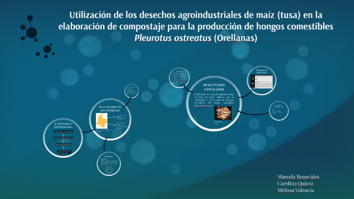 Utilización de los desechos agroindustriales de maíz (tusa) by Melissa ...