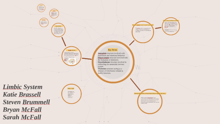 Limbic System by Bryan McFall on Prezi