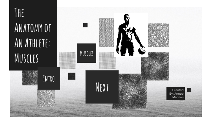 The Anatomy of An Athlete: Muscles by Anoop Mannan on Prezi