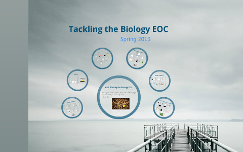 Biology EOC Review 1-Cells by Clarissa Caro on Prezi
