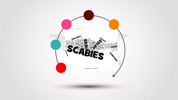 Scabies Chain Of Infection by shealy robinson on Prezi
