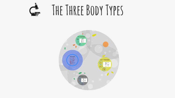 The Three Body Types by Julia Li on Prezi