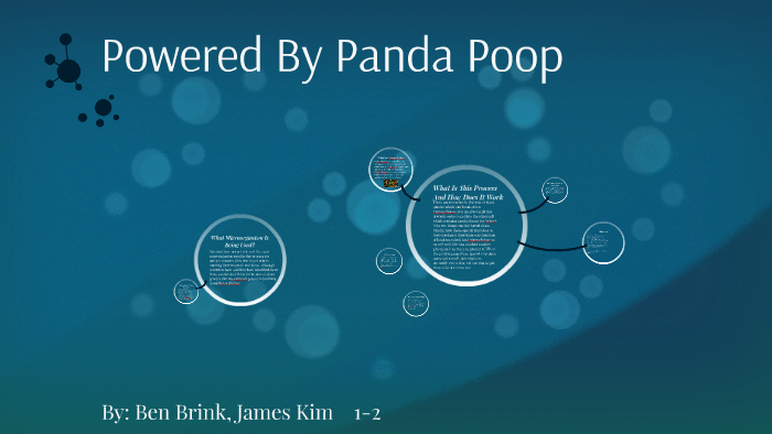 Panda Poop Science 8 Biology by kim james on Prezi