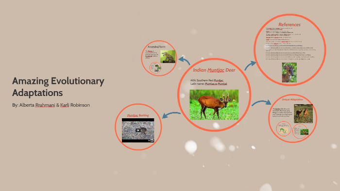 Amazing Evolutionary Adaptations by karli robinson on Prezi