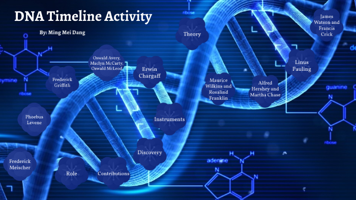 DNA Timeline Activity by Ming Mei Dang on Prezi