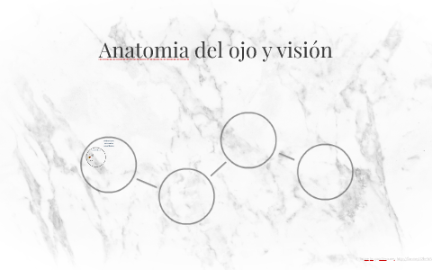 Anatomia del ojo y visión by Nicolas Fernández on Prezi