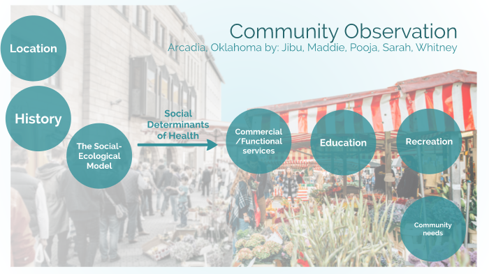 community Observation by Madison Brown on Prezi