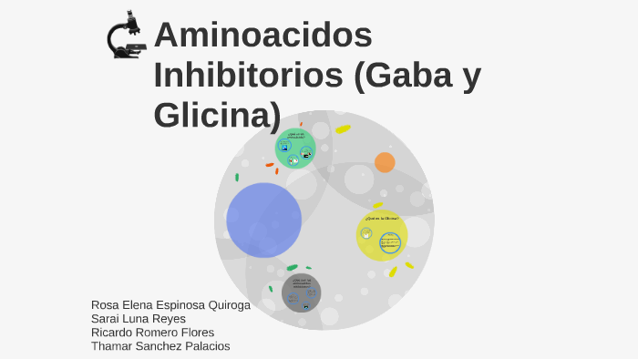 Aminoacidos Inhibitorios (Gaba y Glicina) by Rosa Elena Espinosa Quiroga on Prezi