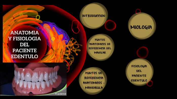 anatomia y fisiologia del paciente edentulo by milagros curi on Prezi