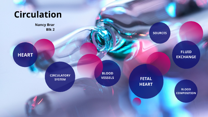 Nancy Brar- Circulation Test by Nancy Brar on Prezi