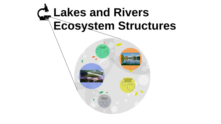 Lakes and Rivers Ecosystem Structures by Brady Sortor on Prezi