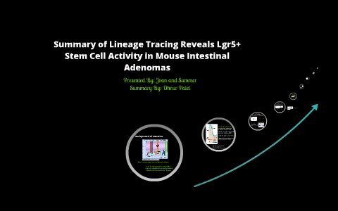 Summary of Lineage Tracing Reveals Lgr5+ Stem Cell Activity in Mouse ...