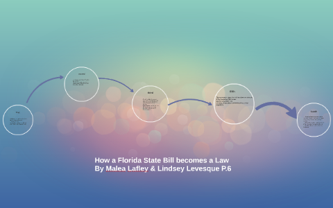 How a Florida State Bill becomes a Law by malea lafley on Prezi