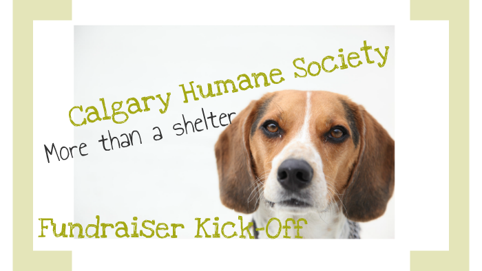 Fundraiser Kick Off Presentation by Humane Education