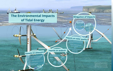 The Environmental Impacts of Tidal Energy by Yuanmei Zhang on Prezi
