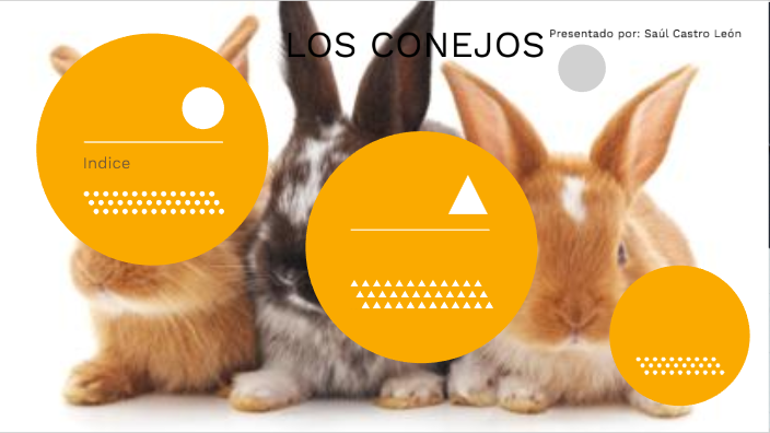 Los conejos matemáticos by saul castro on Prezi