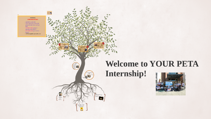 Welcome to YOUR PETA Internship! by Zoe Dean on Prezi