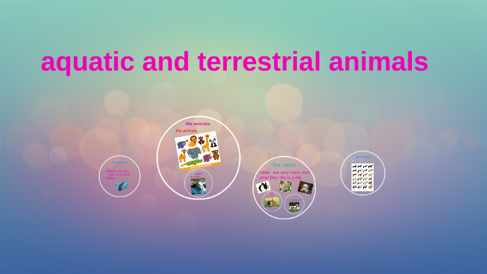 aquatic and terrestrial animals by Paula Moreno on Prezi