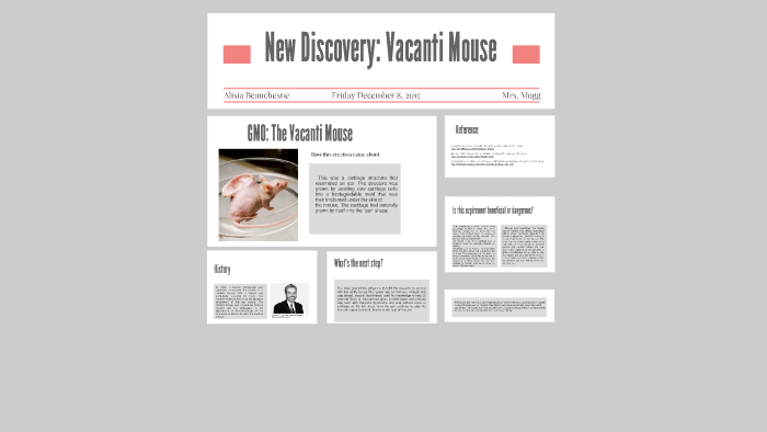 New Discovery: Vacanti Mouse by Alisia Beauchesne
