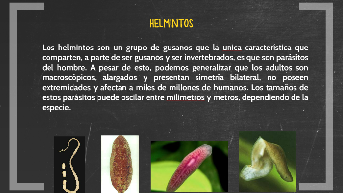 HELMINTOS by KAREN BARRAGAN BARRERA on Prezi