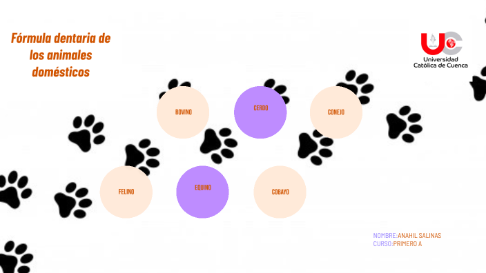 Fórmula dentaria de los animales domésticos by anahil salinas on Prezi
