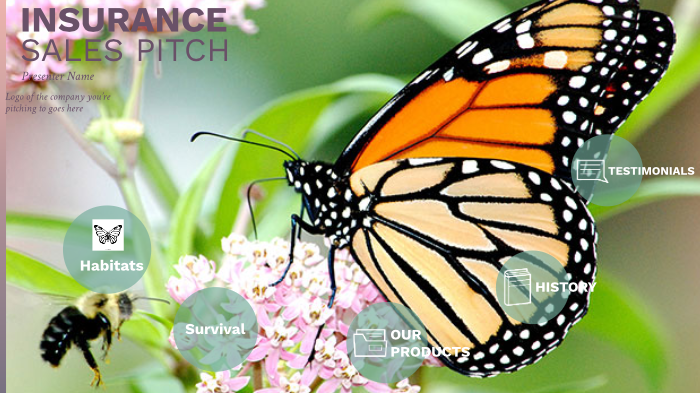 Davis Cully by Davis Cully on Prezi