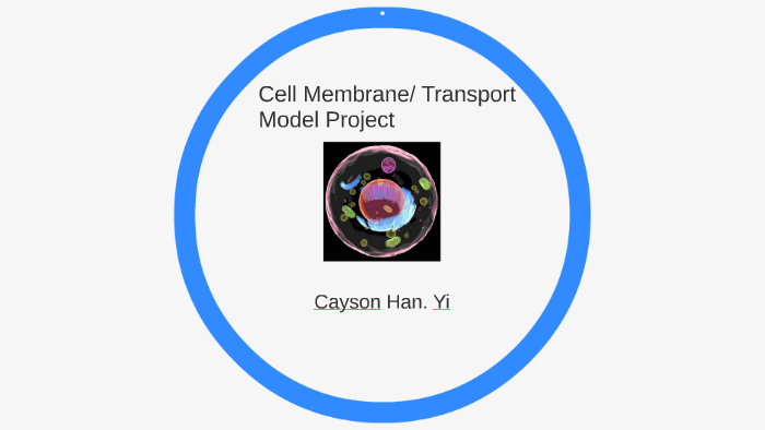 Cell Membrane/ Transport Model Project by cayson yi on Prezi