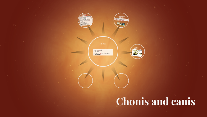 Chonis and canis by Alicia Swag on Prezi