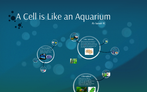 A Cell is Like an Aquarium by Sarah W. on Prezi